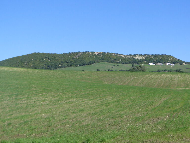 Vereda de la Somada | Chiclana Natural